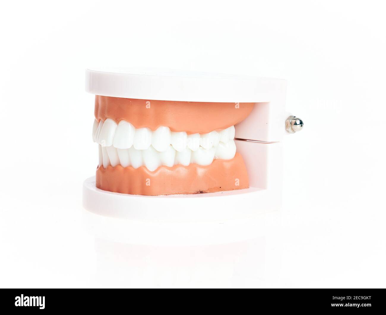 Over Denture High Resolution Stock Photography and Images - Alamy