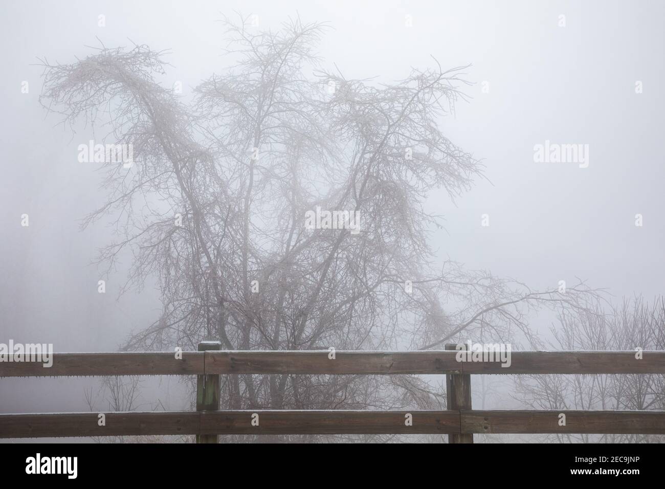 Eerie winter scenery hi-res stock photography and images - Alamy