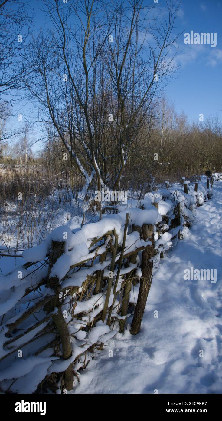 Dead Hedge High Resolution Stock Photography and Images - Alamy
