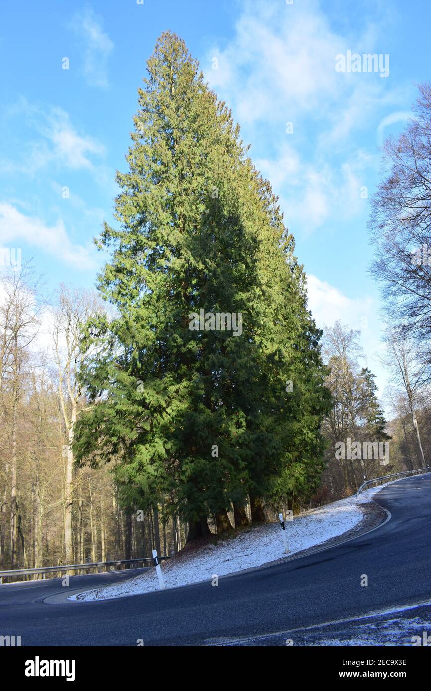 Hohe acht curve hi-res stock photography and images - Alamy