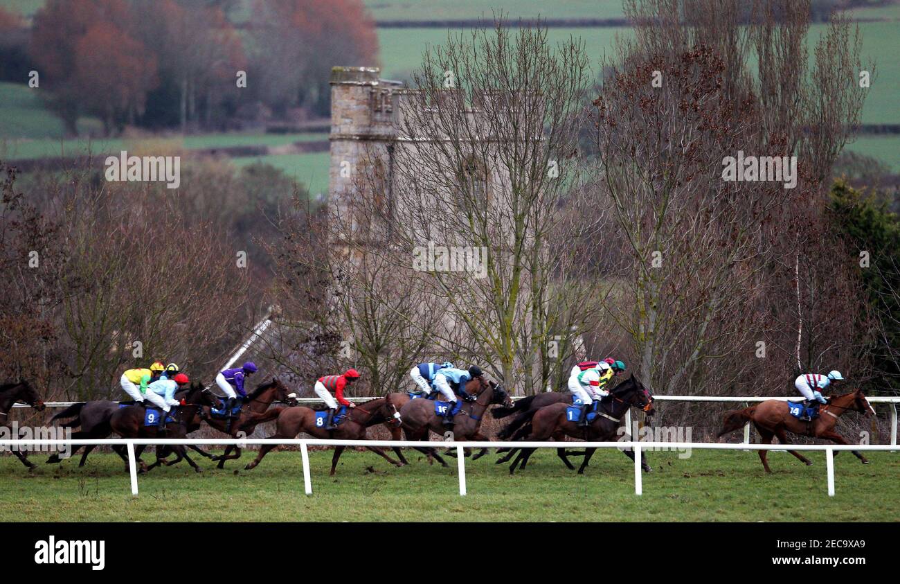 Excellence with horse hi-res stock photography and images - Alamy