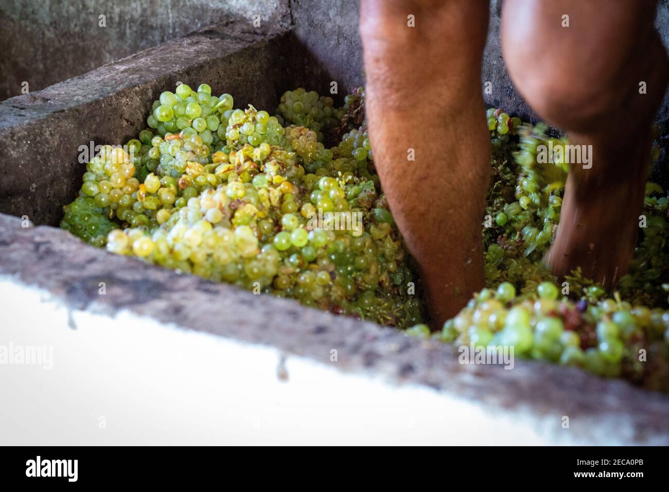 Manolada hi-res stock photography and images - Alamy