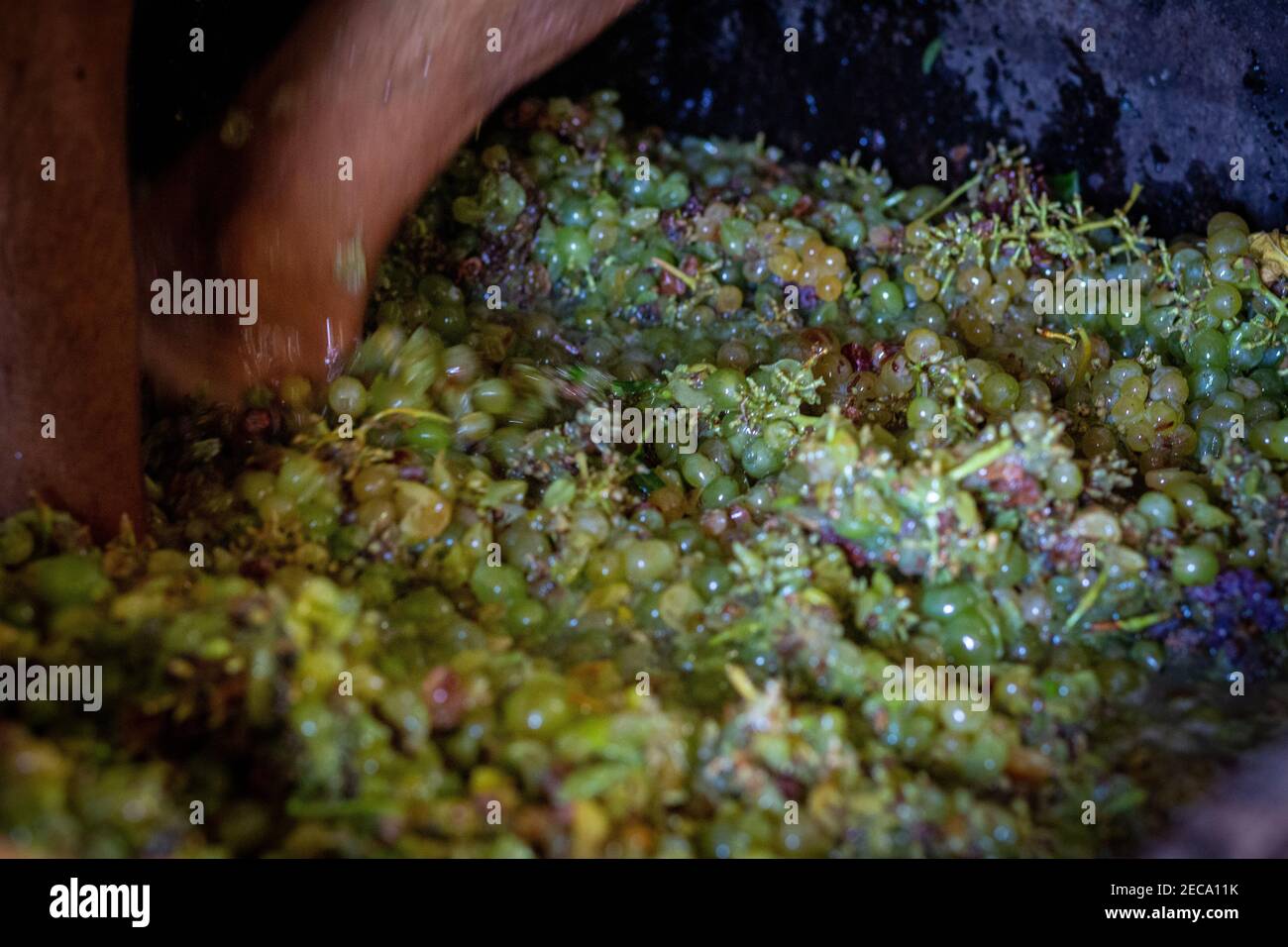 Manolada hi-res stock photography and images - Alamy