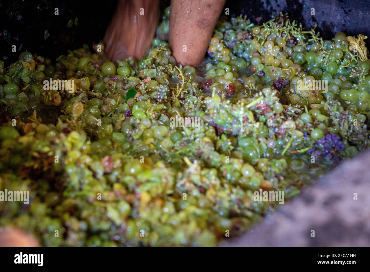 Manolada hi-res stock photography and images - Alamy