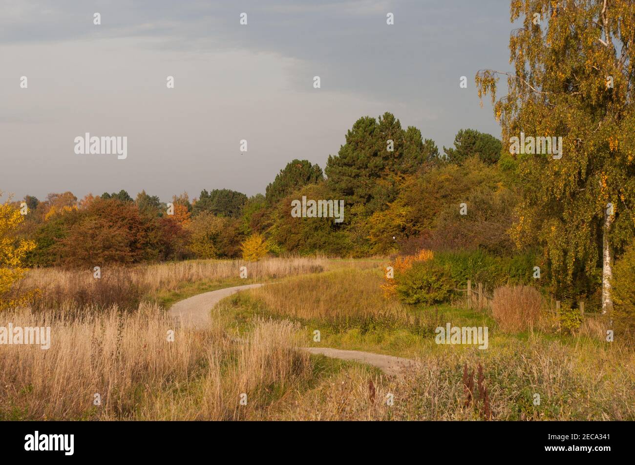 fall in danish countryside Stock Photo - Alamy