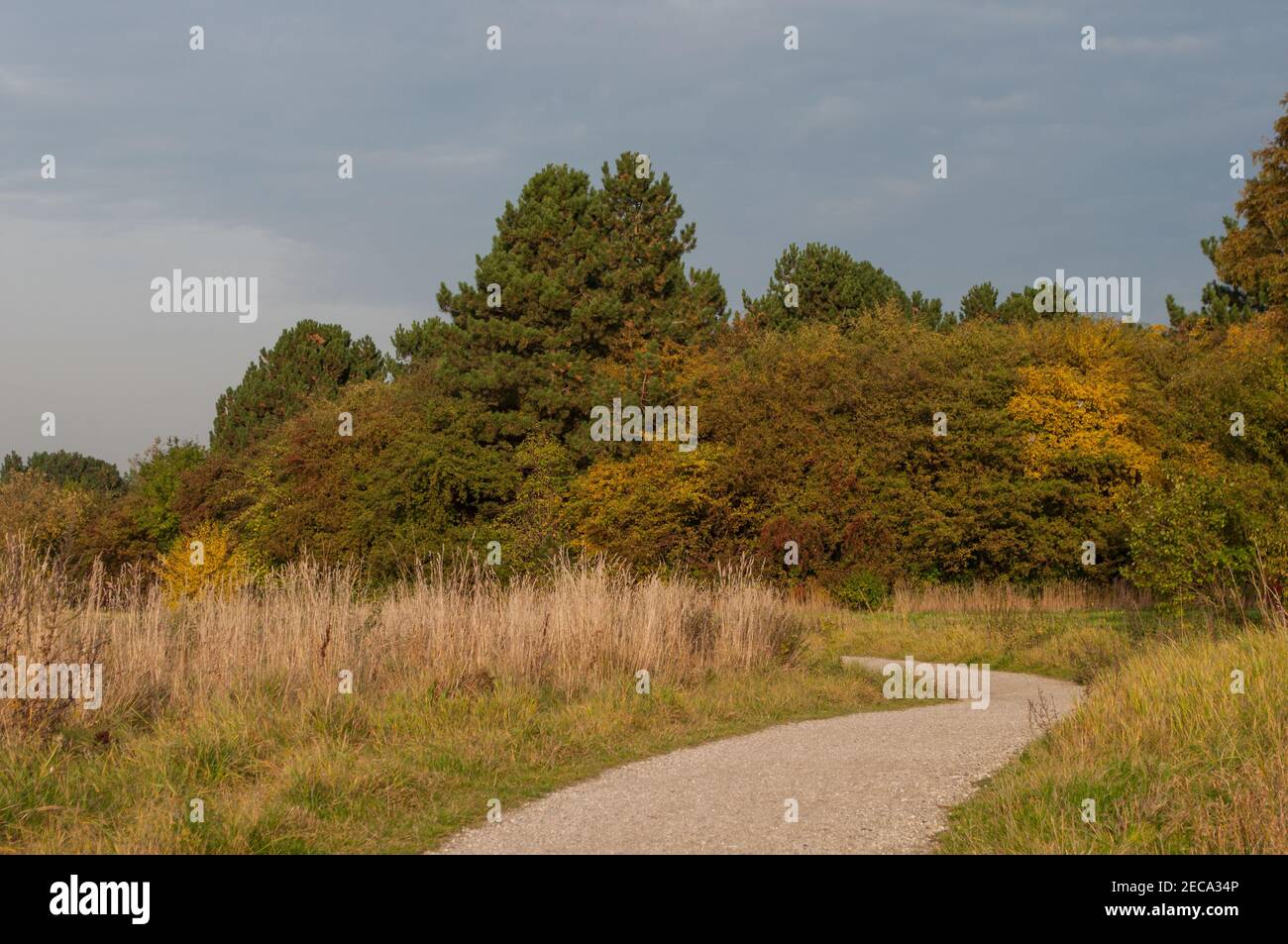 fall in danish countryside Stock Photo - Alamy