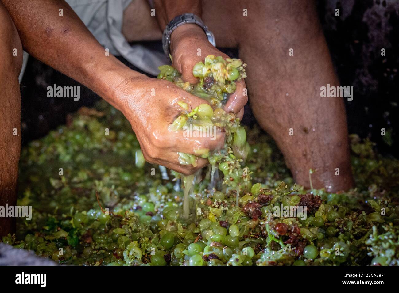 Wine making in western Greece Stock Photo - Alamy