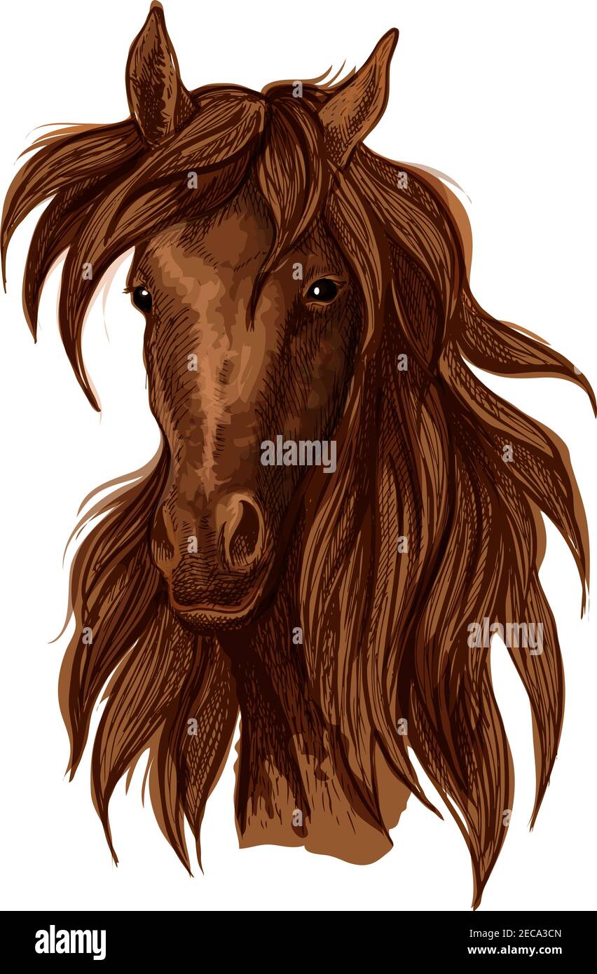 Brown horse artistic portrait. Mustang with long wavy flying mane ...