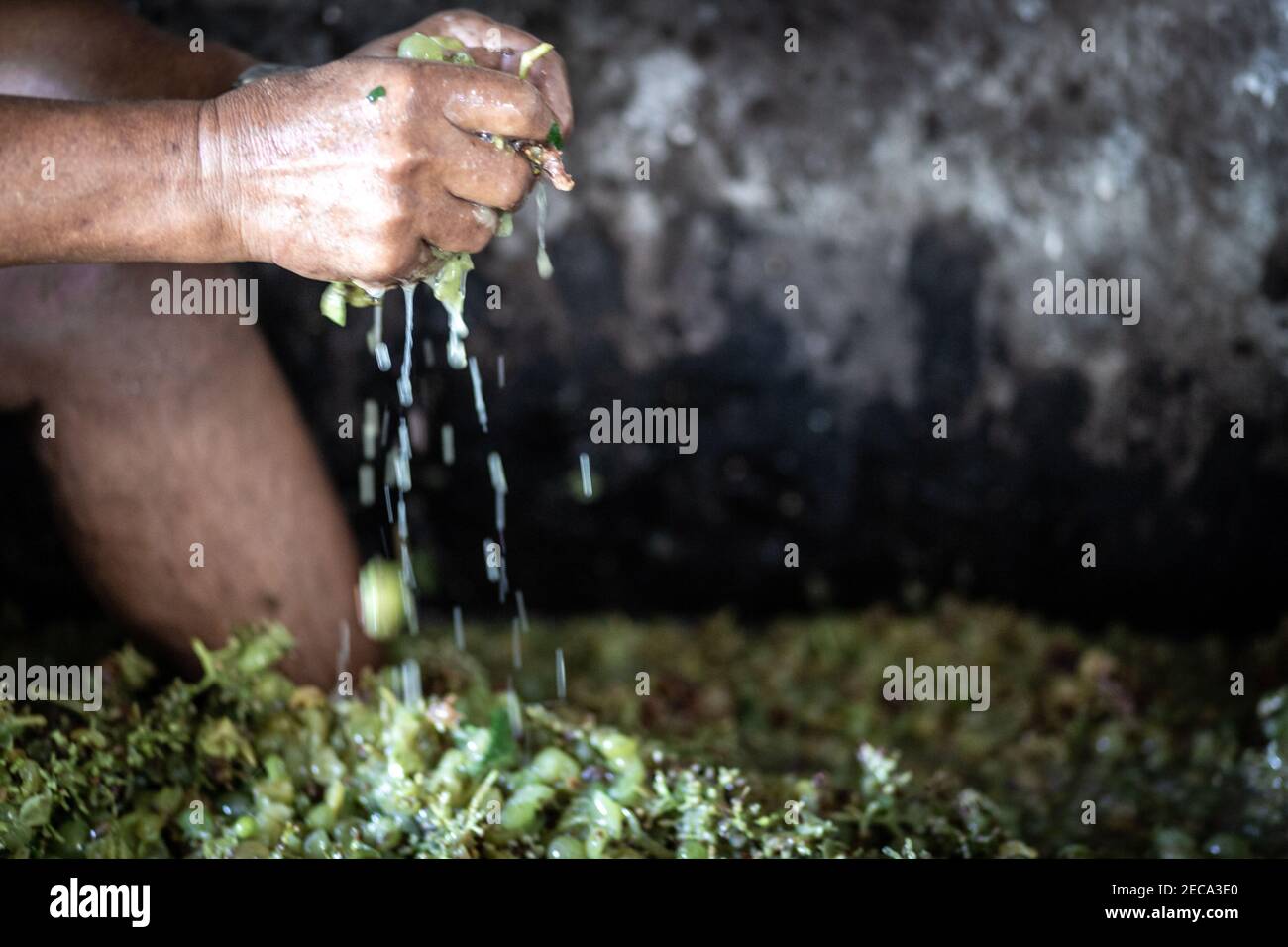 Manolada hi-res stock photography and images - Alamy