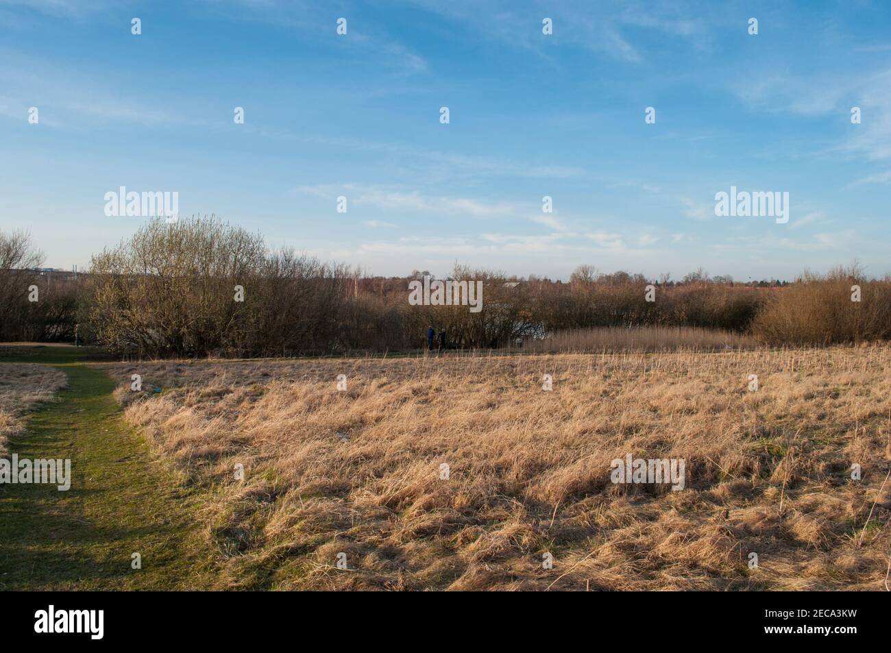 field in Denmark Stock Photo - Alamy