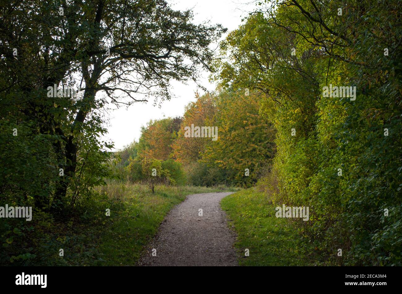 fall in danish countryside Stock Photo - Alamy