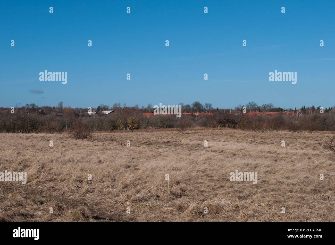 Danish countryside during fall Stock Photo - Alamy