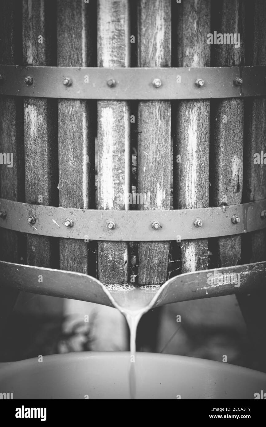 Manolada hi-res stock photography and images - Alamy