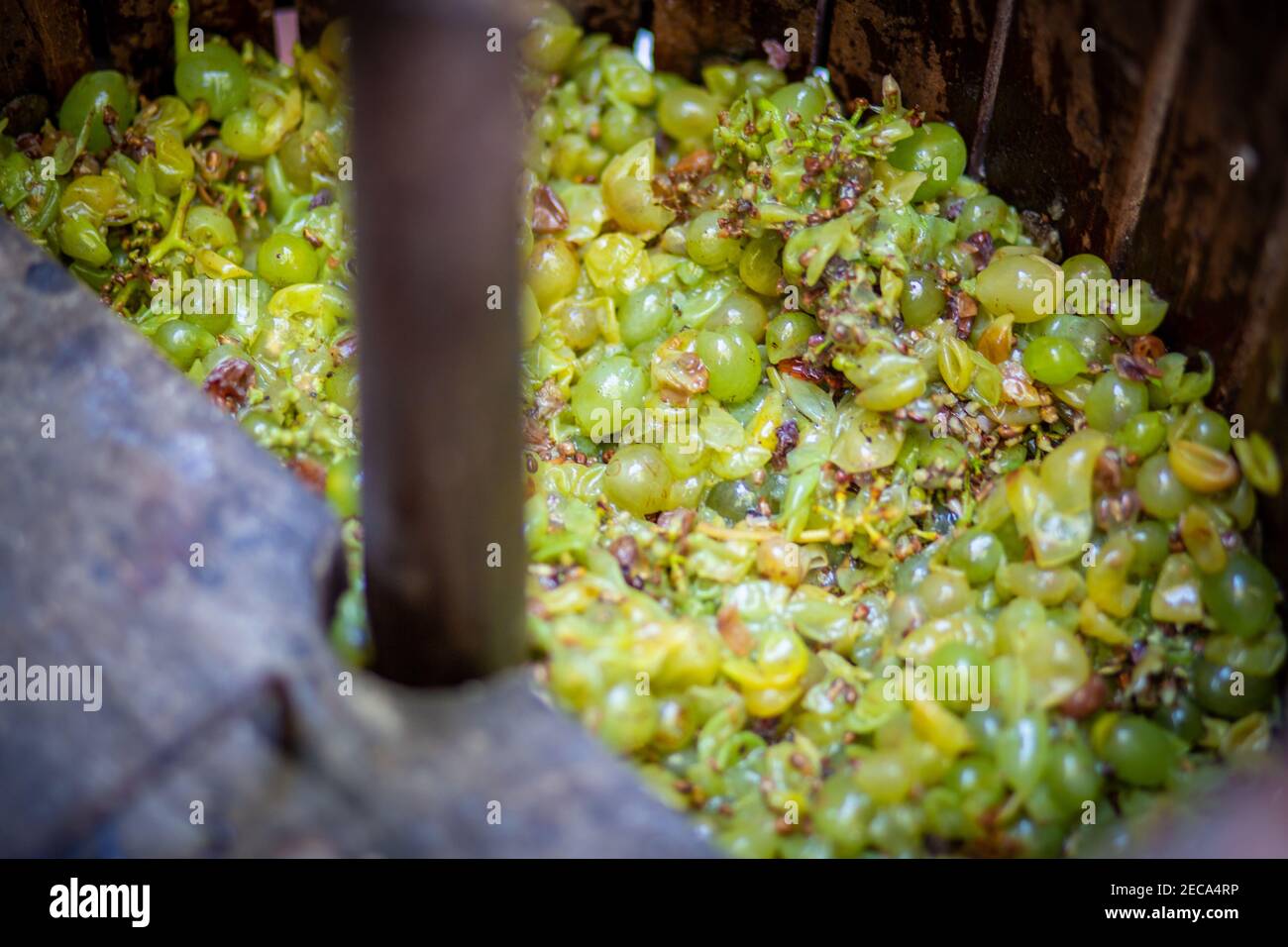 Manolada hi-res stock photography and images - Alamy