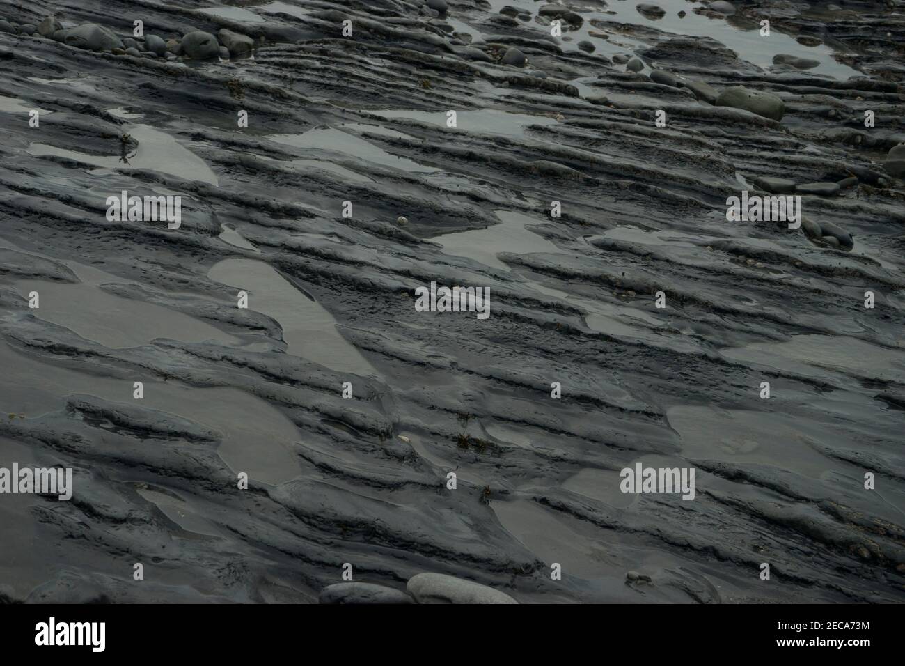 Beach with stacked limestone strata in Ceredigion, Wales,UK Stock Photo ...