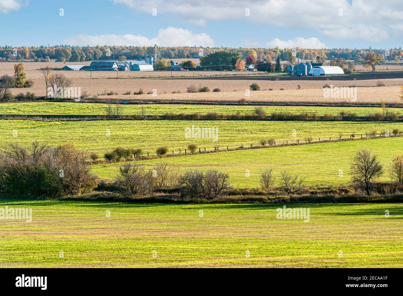 Agribusiness view hi-res stock photography and images - Alamy