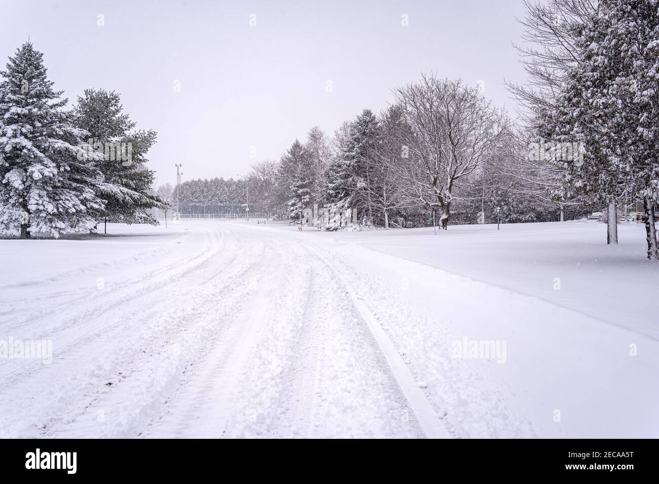 snow covered suburban street Stock Photo - Alamy