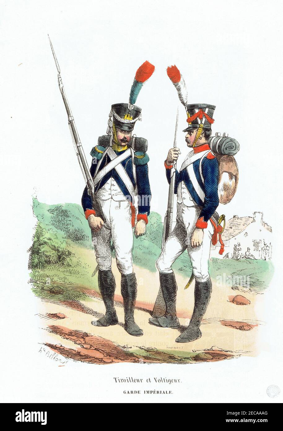 Grenadier et voltigeur hi-res stock photography and images - Alamy