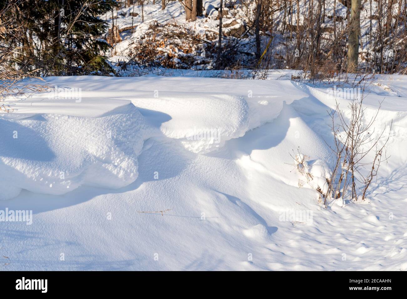 windswept snow banks Stock Photo - Alamy