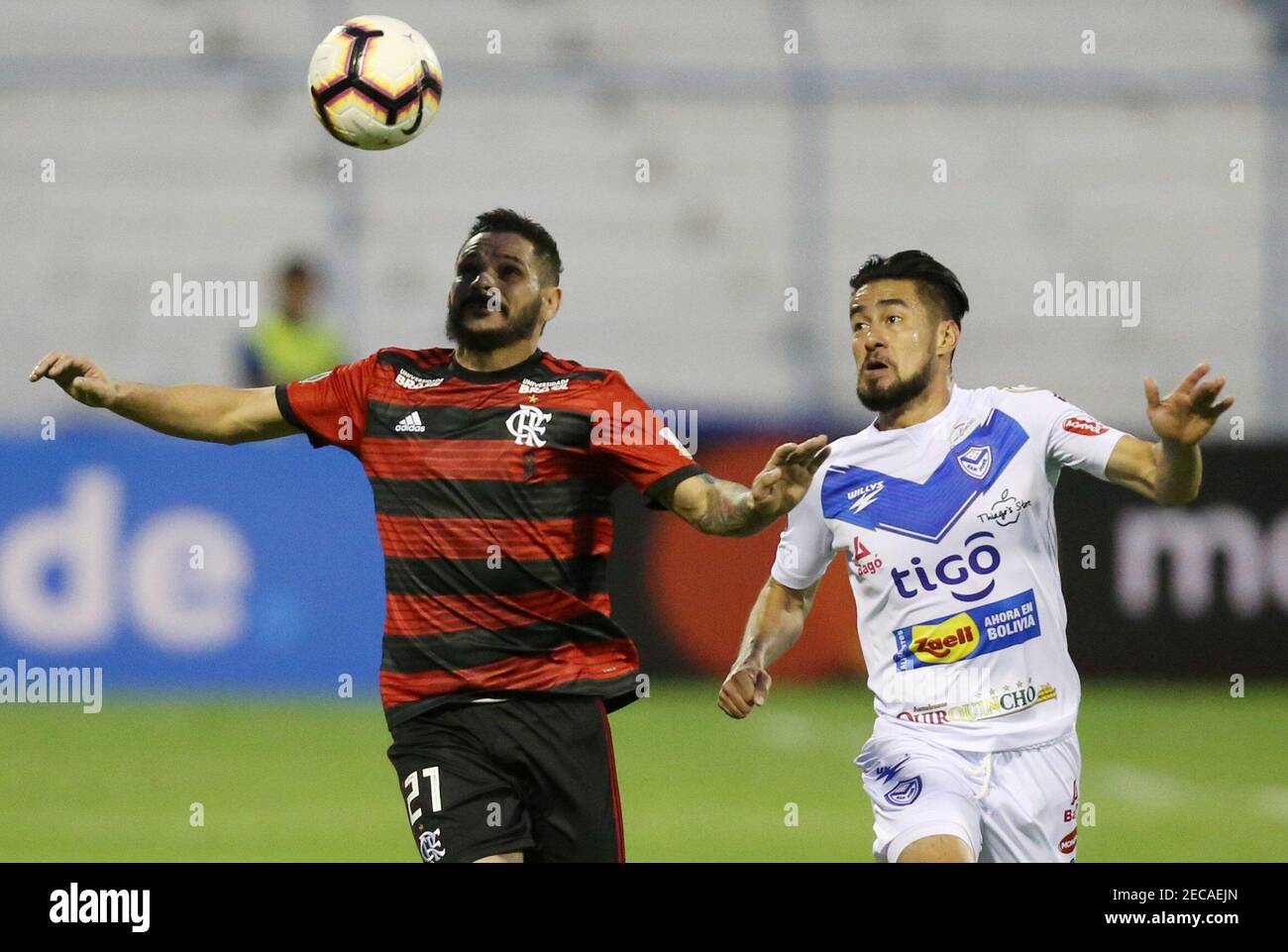 Ramallo rodrigo hi-res stock photography and images - Alamy