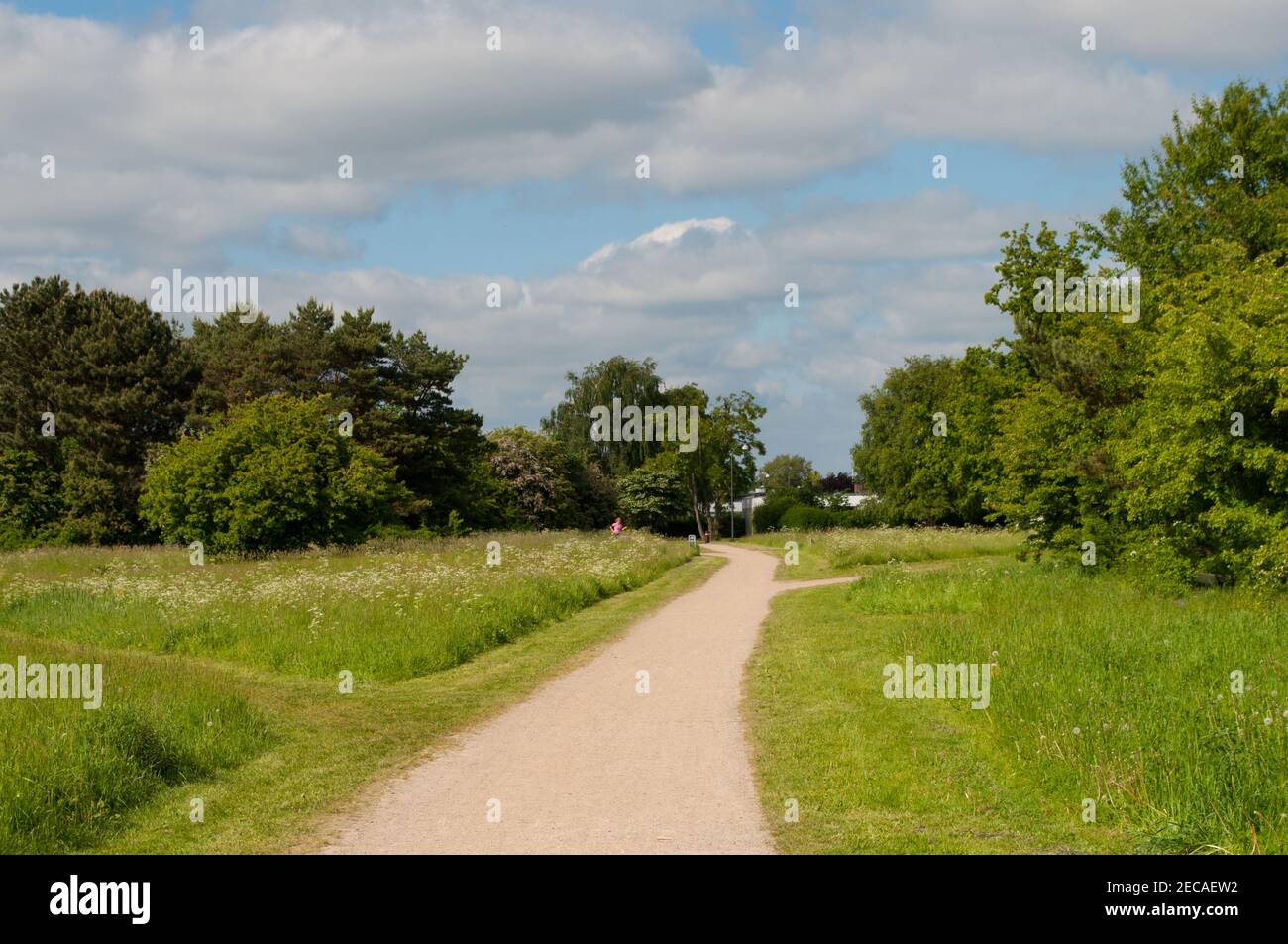 a path in the Danish landscape in Ballerup in the suburbs of Copenhagen ...