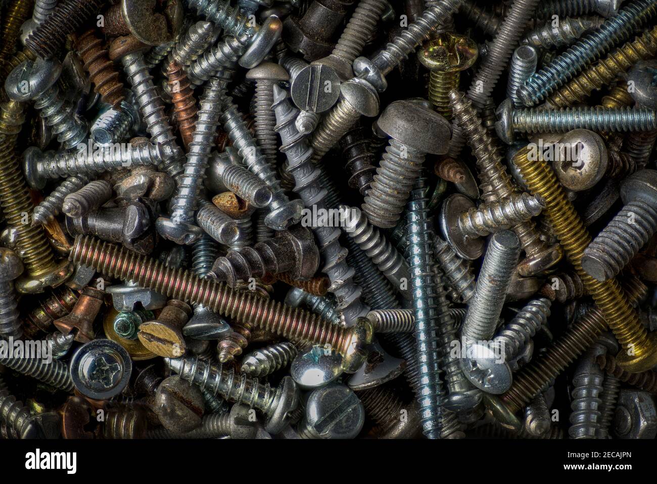 Macro view of a collection of old screws of various types and sizes ...