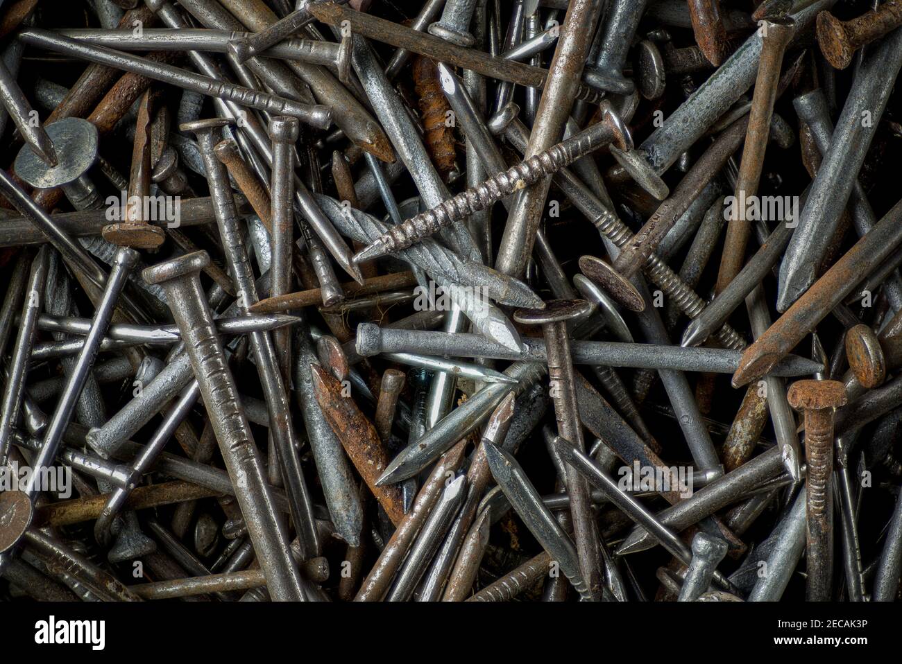 Macro view of a collection of old nails of various types and sizes ...