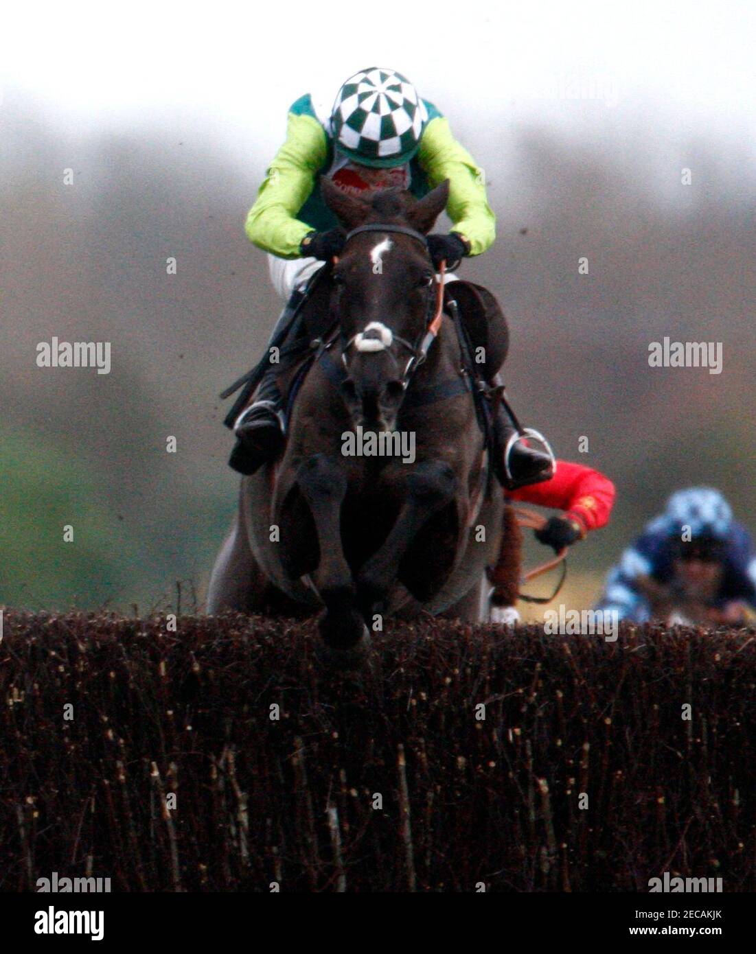 Hennessy Gold Cup High Resolution Stock Photography and Images - Alamy