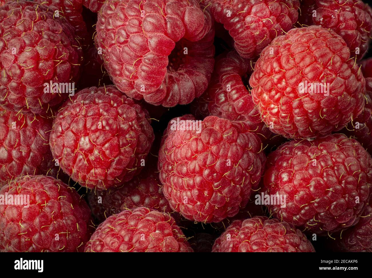 Raspberry close up hairs hi-res stock photography and images - Alamy