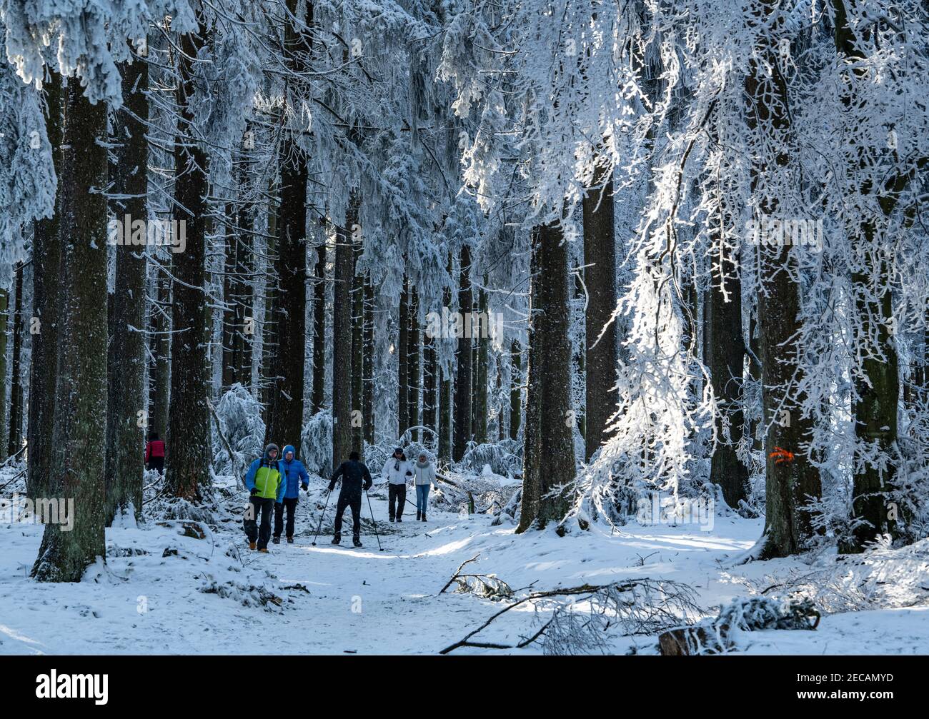 Schmitten, Germany. 13th Feb, 2021. Strollers walk under snow-covered ...
