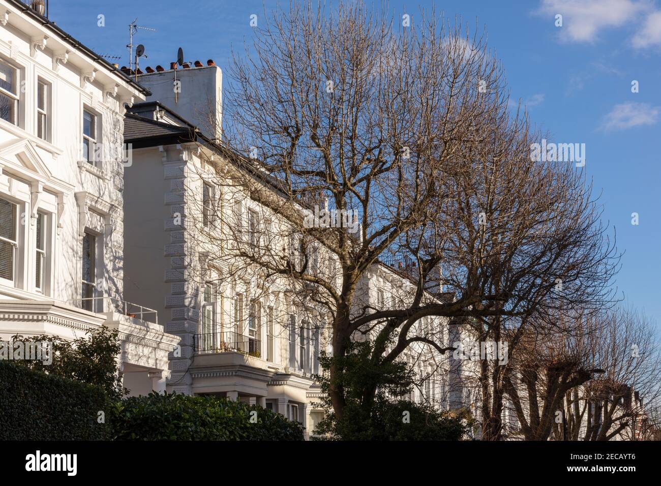A street of luxurious Regency era townhouses on Belsize Park gardens ...