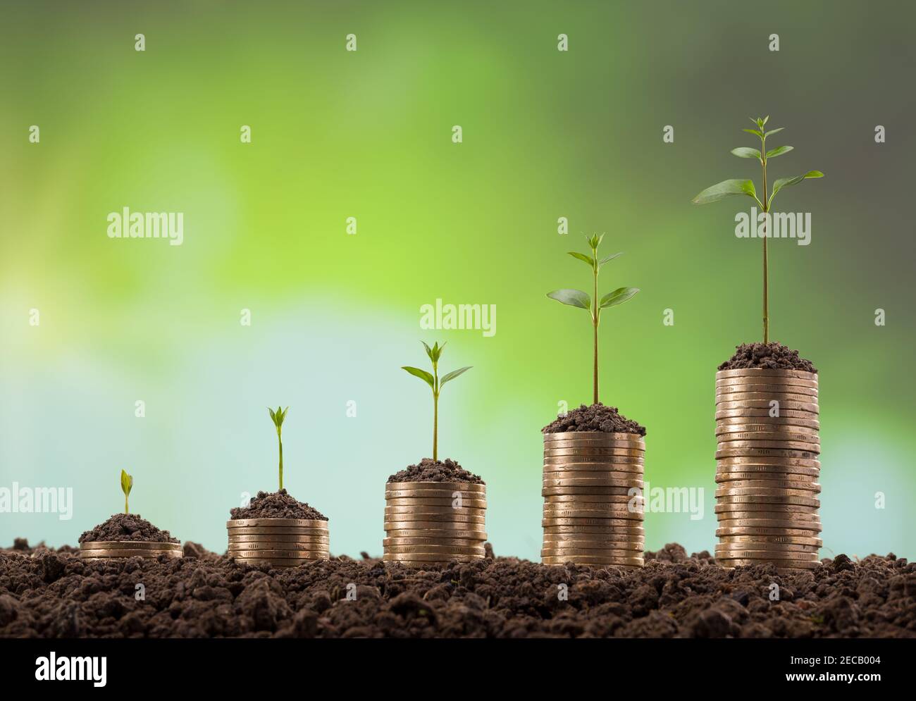Money growing on trees hi-res stock photography and images - Alamy