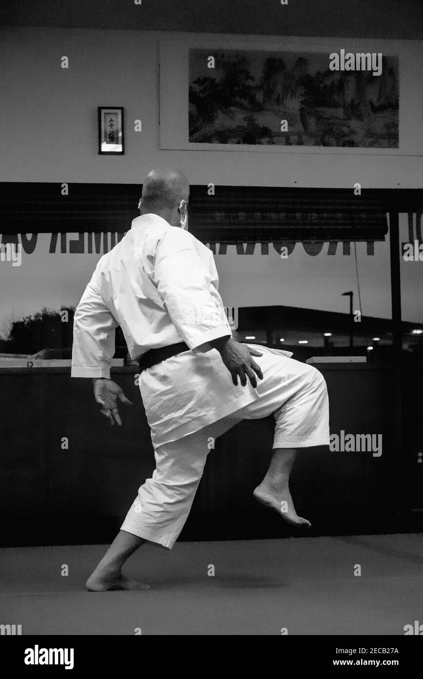 This action photo is of my son and his classmates in a Karate class ...