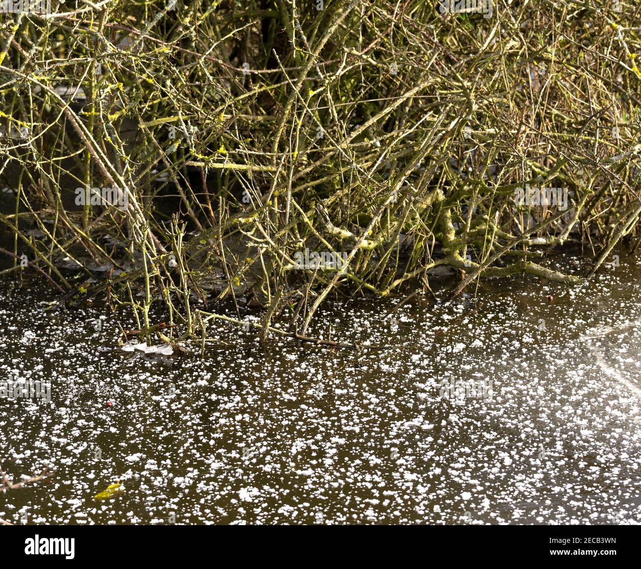 Frozen floods hi-res stock photography and images - Alamy