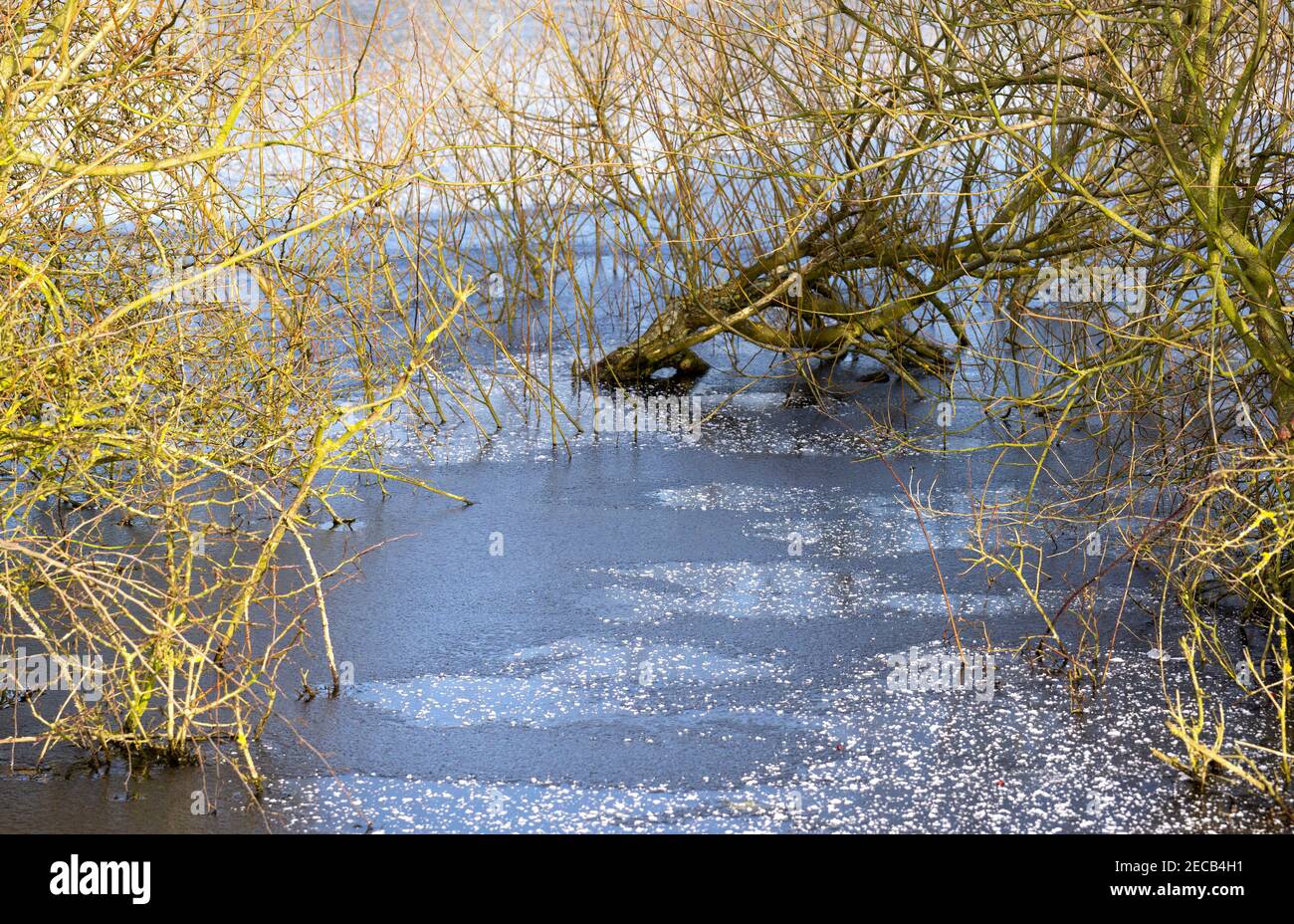 Frozen floods hi-res stock photography and images - Alamy