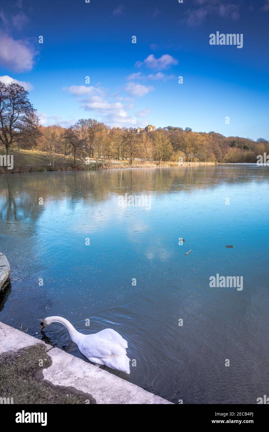 Hardwick hall country park hi-res stock photography and images - Alamy