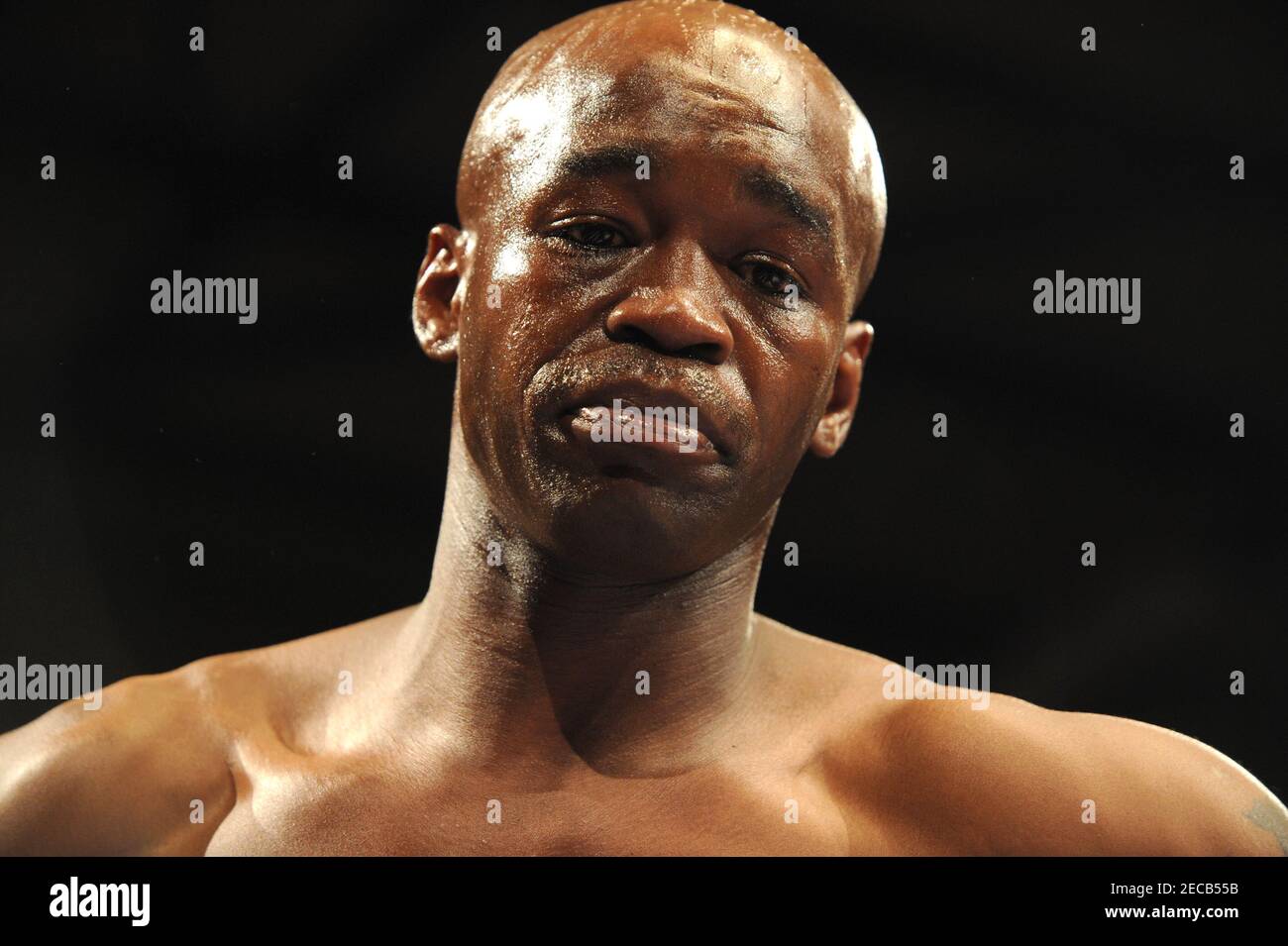 Stephen Robin High Resolution Stock Photography and Images - Alamy