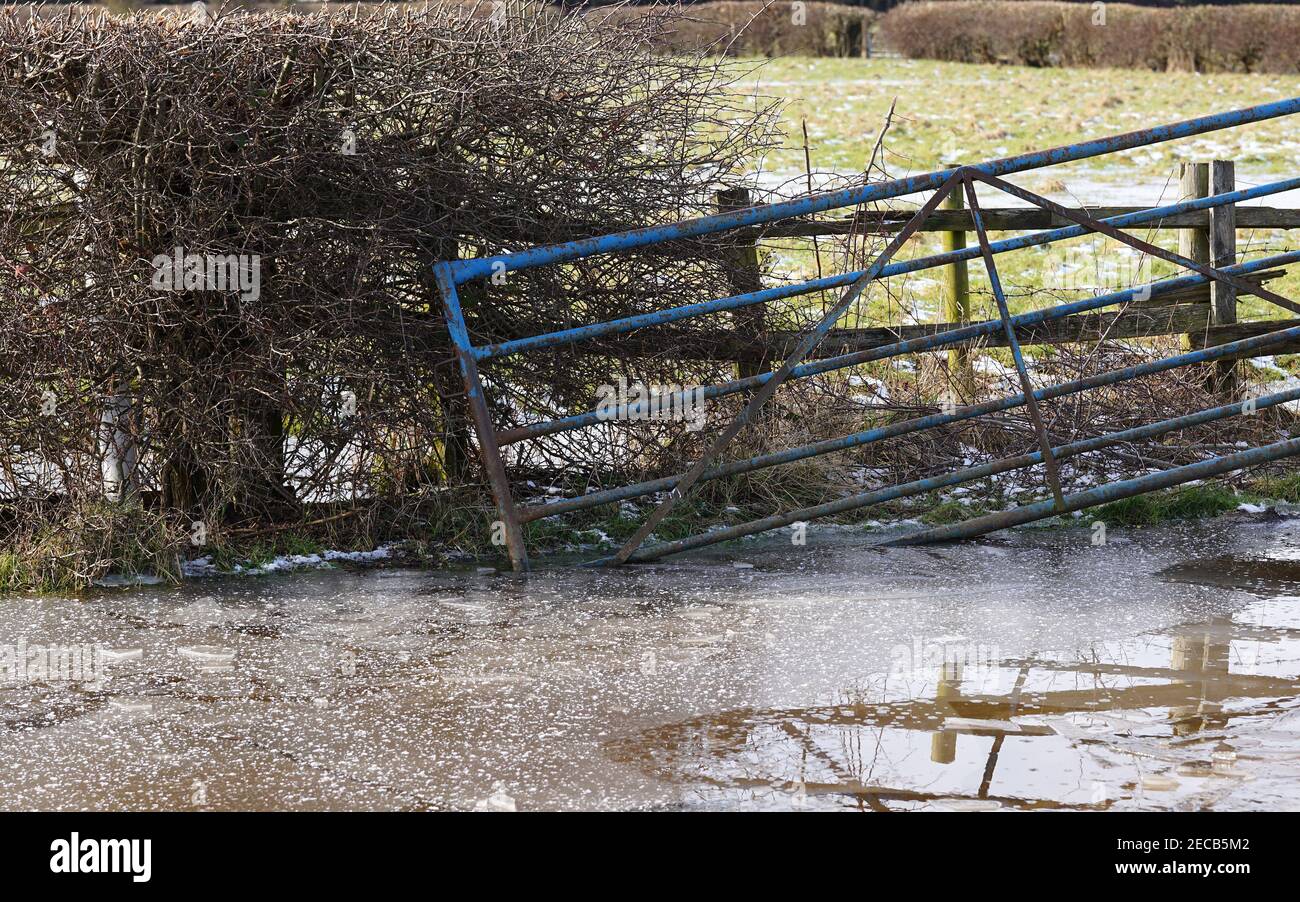 Farm gate trapped in frozen floodwater Stock Photo - Alamy