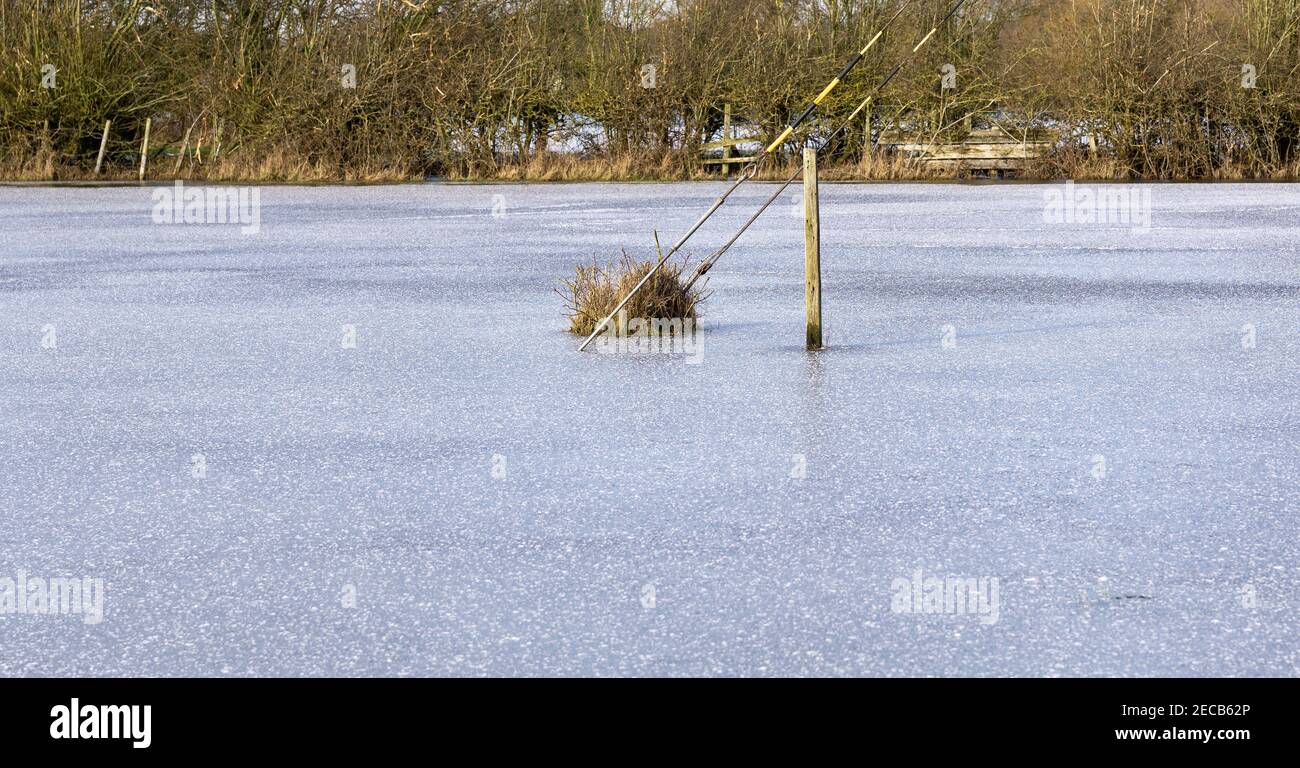 Clump grass in pond hi-res stock photography and images - Alamy