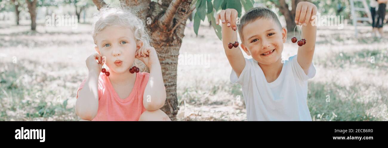 Caucasian children girl and boy picking eating berries on farm. Happy ...