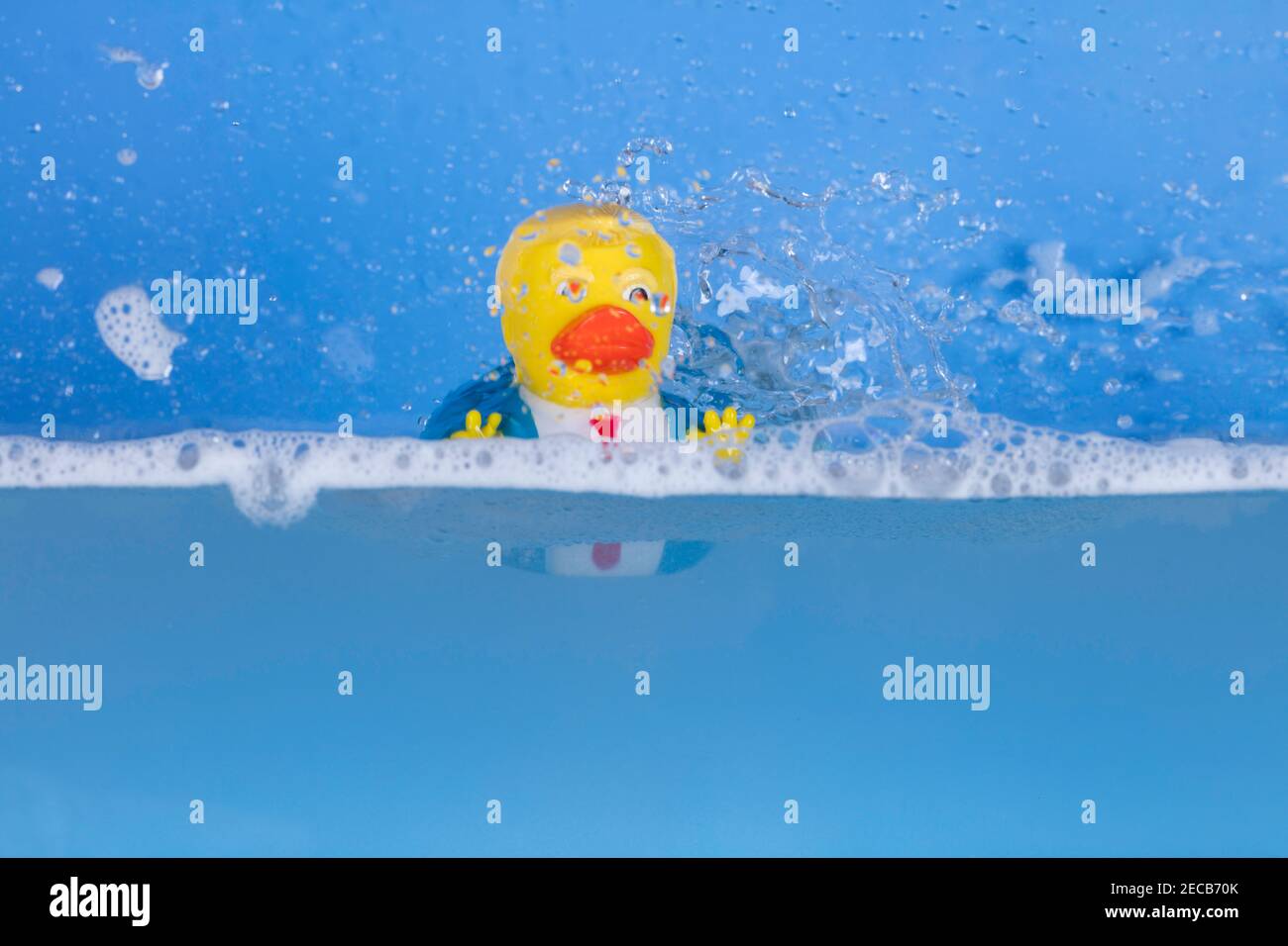 Donald Duck Trump enjoying a bubble bath Stock Photo - Alamy