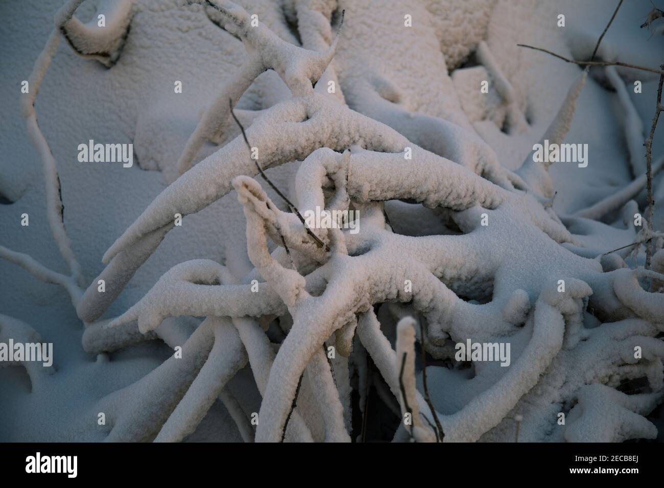 banff scotland snow Stock Photo - Alamy
