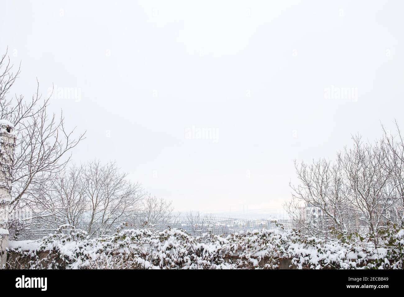 Beautiful snowy landscape. There are trees and city Stock Photo - Alamy