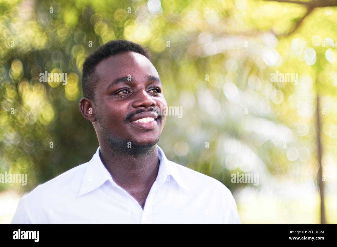 Smile african man wearing smart white shirt standing in the green ...