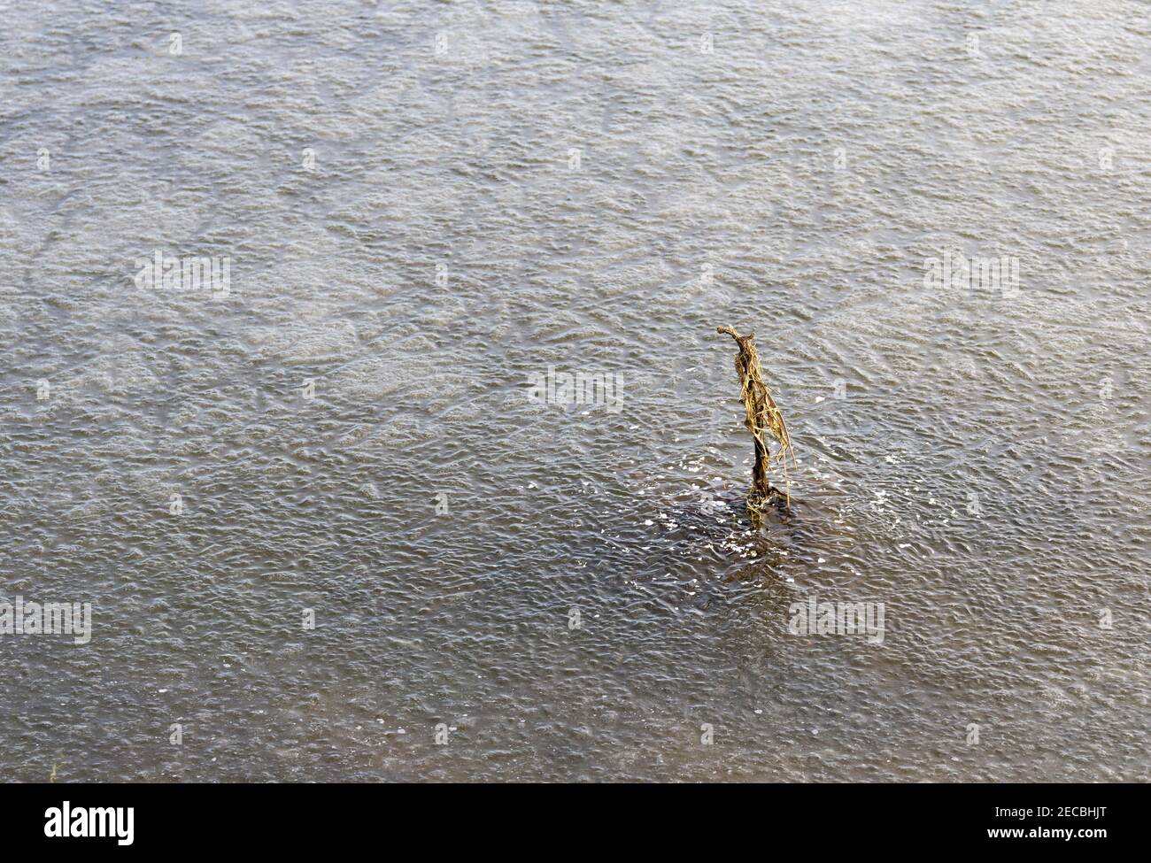 Trapped smooth hi-res stock photography and images - Alamy