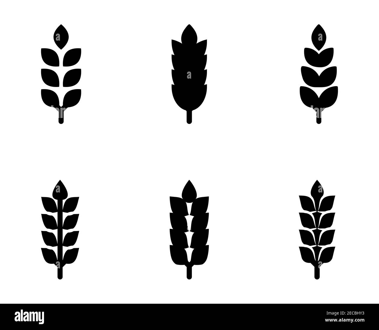 Oat ears seed Black and White Stock Photos & Images - Alamy