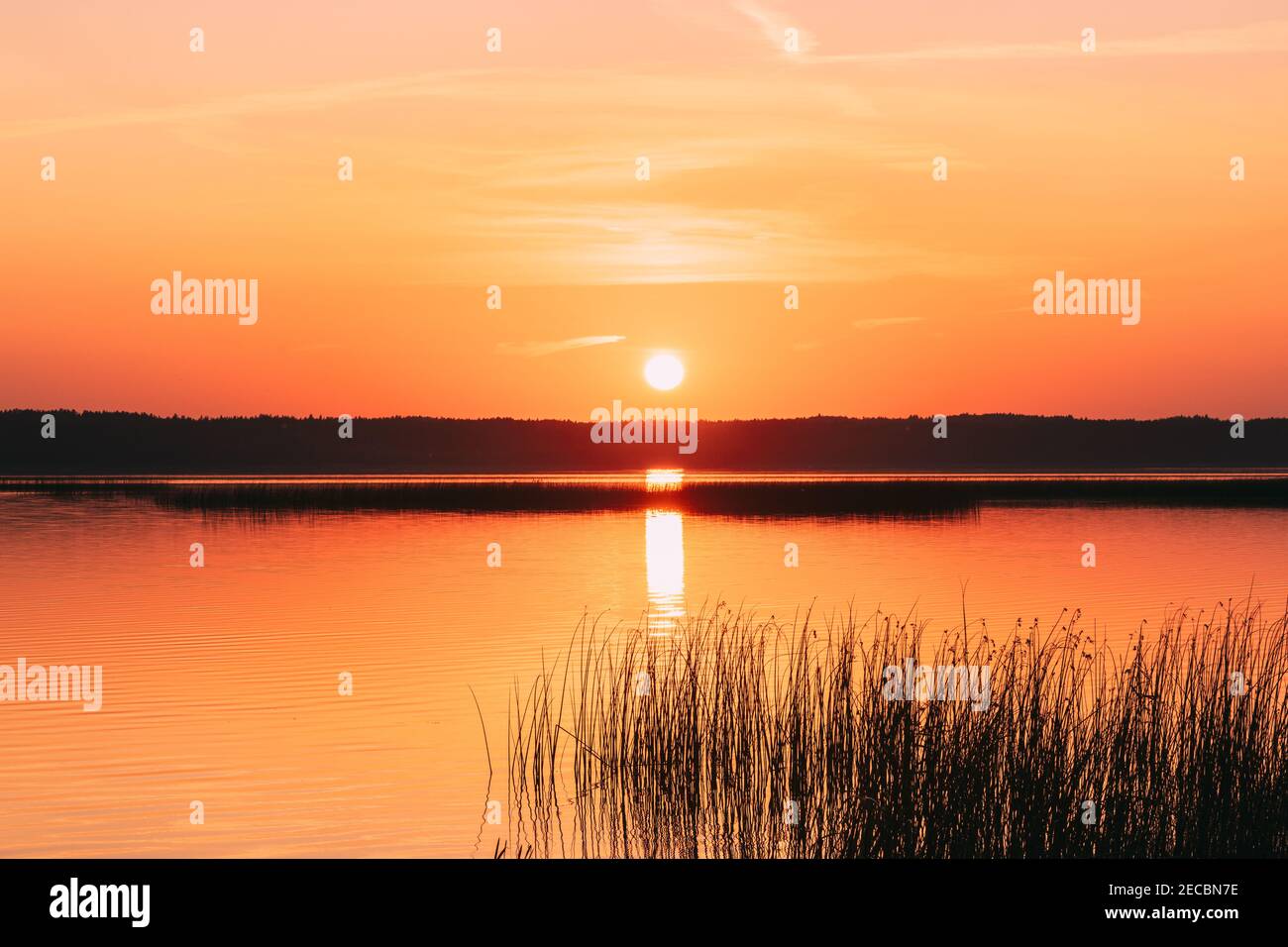 Bright sun over river hi-res stock photography and images - Alamy