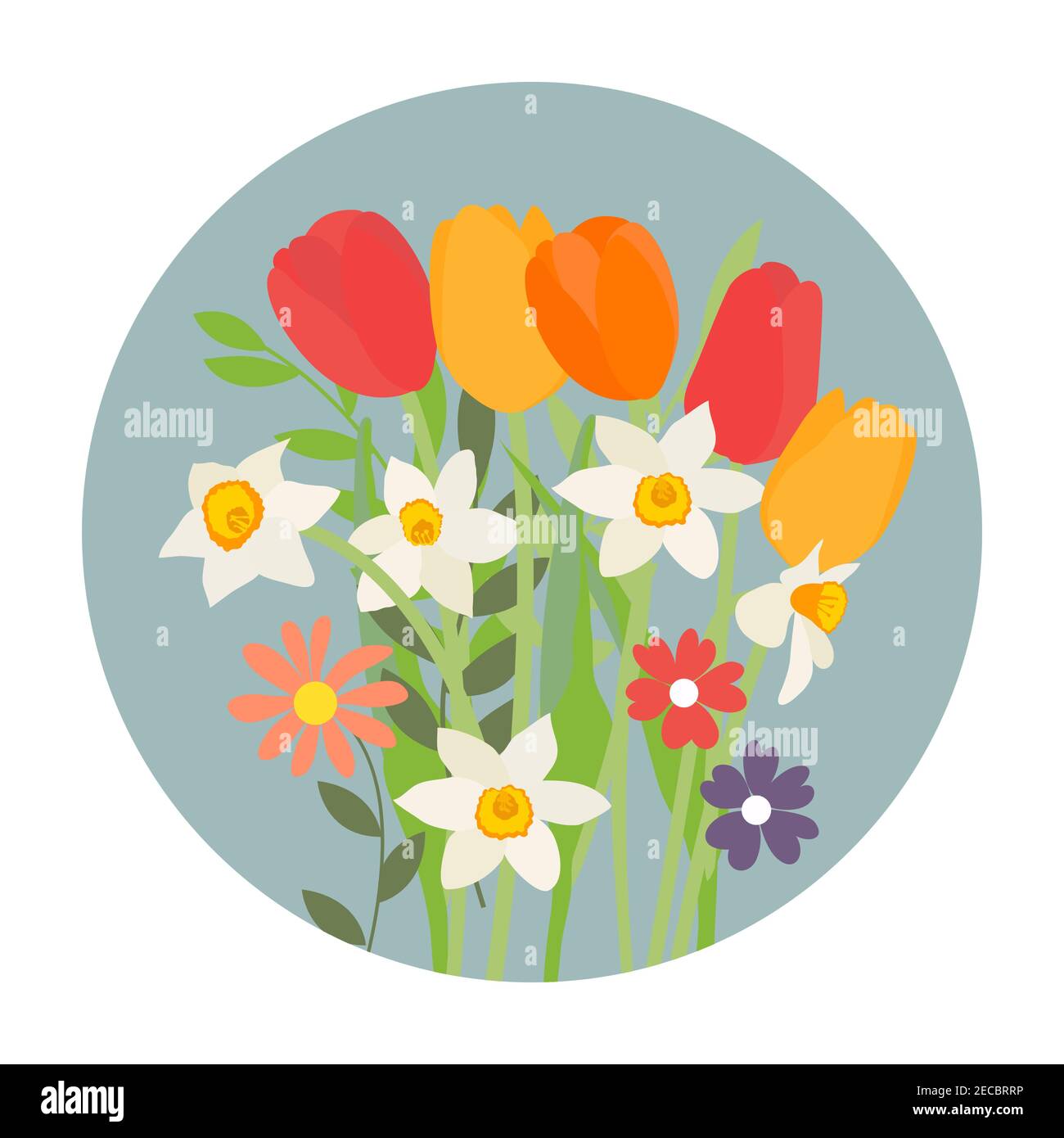 Bouquet of spring flowers tulips and daffodils. Vector Illustration ...
