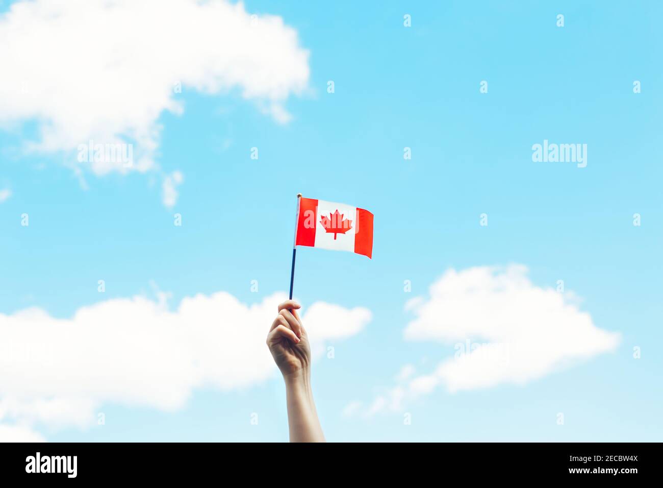 Closeup of woman human hand arm waving Canadian flag against blue sky ...