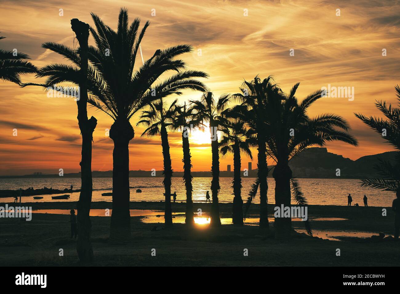 beautiful sunset on the beach with palm trees and very colorful on the ...